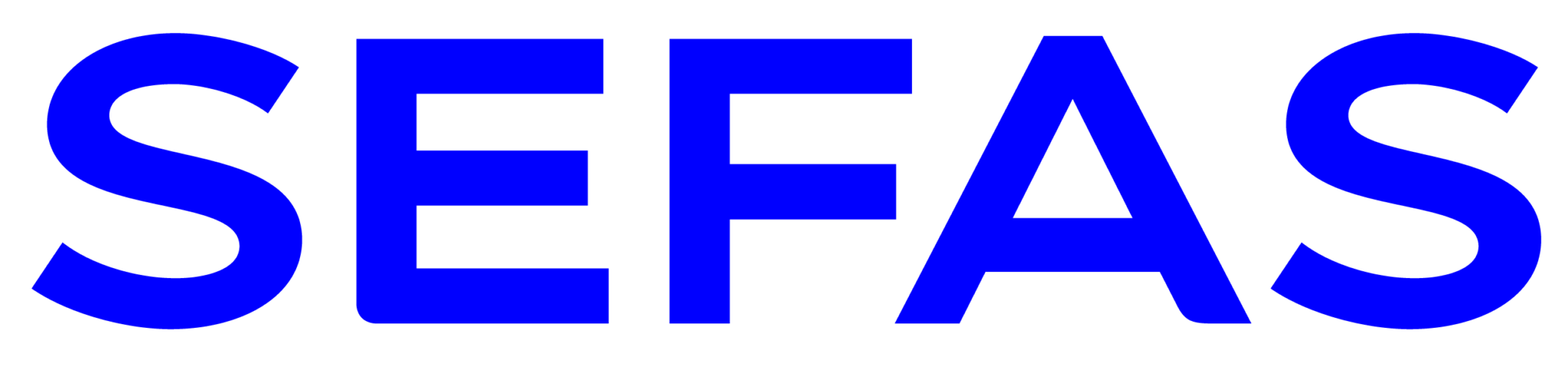 About Sefas - Sefas Innovation