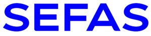 About Sefas - Sefas Innovation